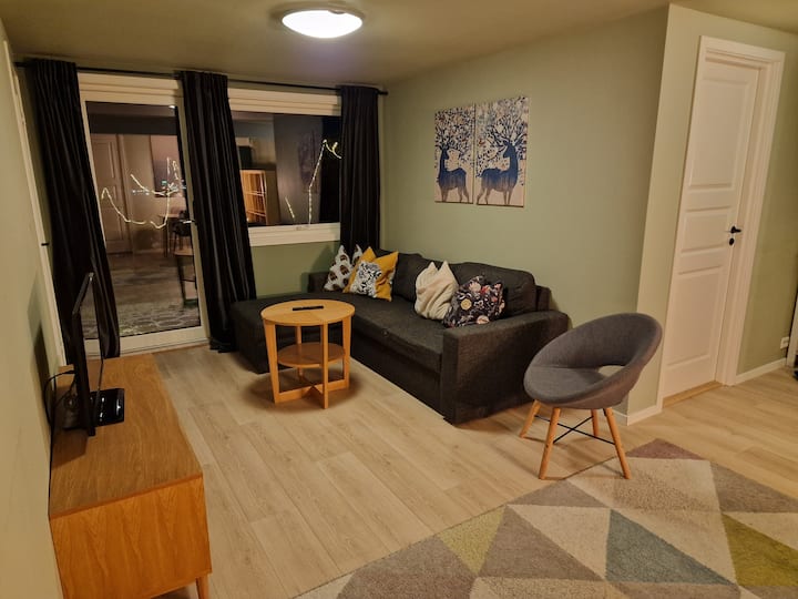Hyggelig Sokkelleilighet Med To Soverom - Kristiansand