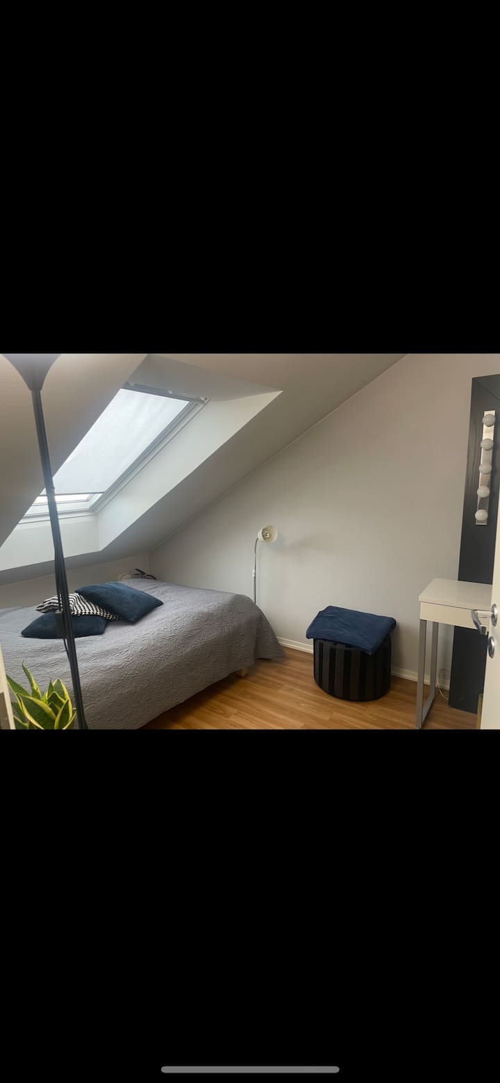 Rum I Mysig Lägenhet - Oslo