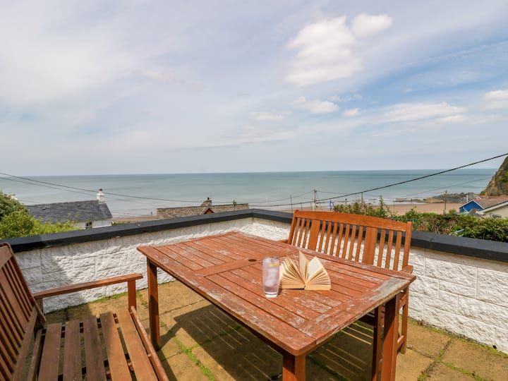 Delyn Aur - Aberporth