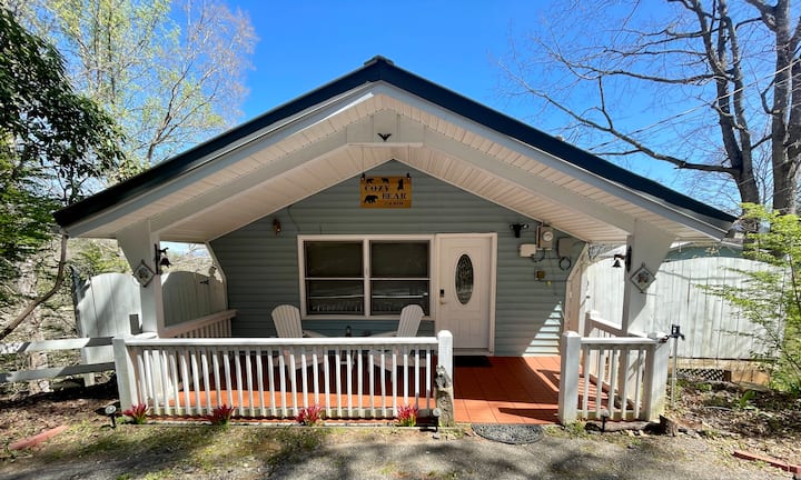 Cozy Bear Cabin - Hiawassee, GA