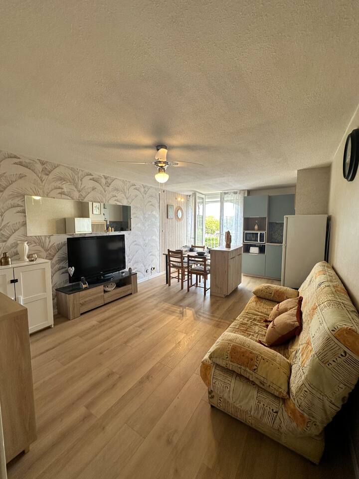 Appartement Moderne Cap D'agde T2 Le Génois - Département Hérault