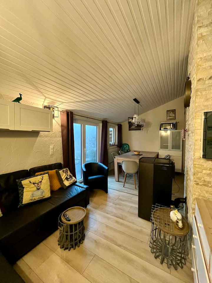 Chalet De La Fée Alice (Numéro 76) En Pleine Forêt - Virton