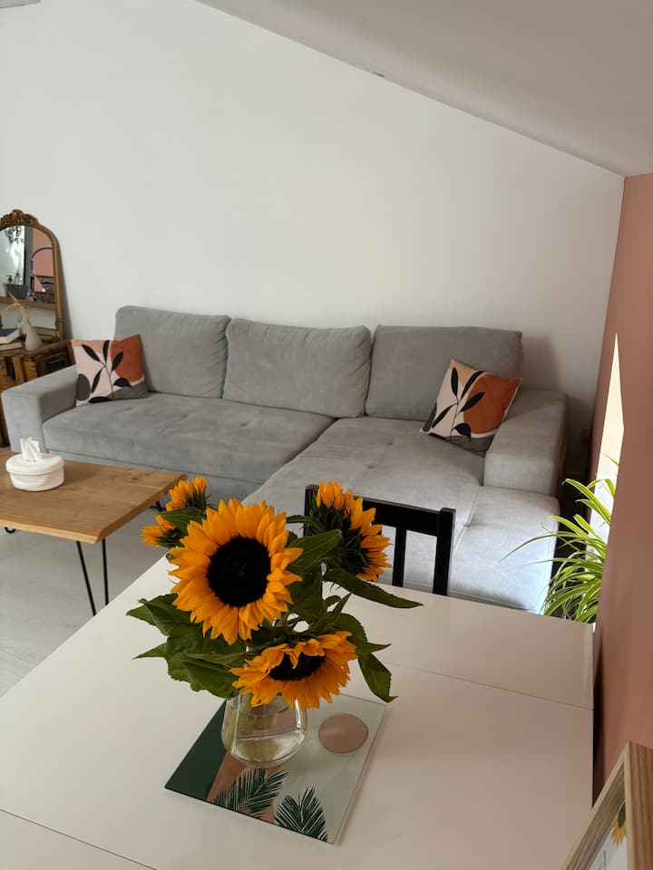 Logement à Pernes Les Fontaines - Pernes-les-Fontaines