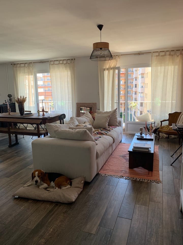 Appartement Refais à Neuf /Cosy - Saint-Étienne