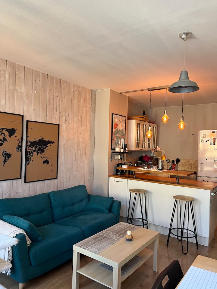 Beau T2 Lumineux - Toulouse Saint-agne - Castanet-Tolosan