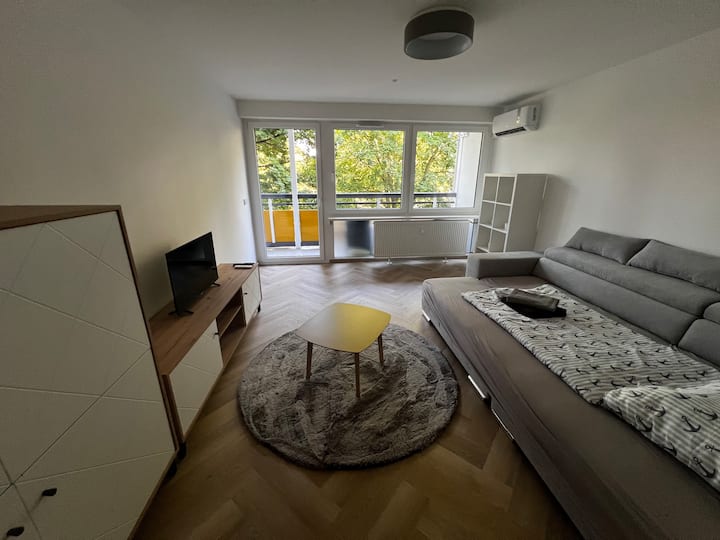 Lili Apartment – Zentral Gelegen In Worms - Worms