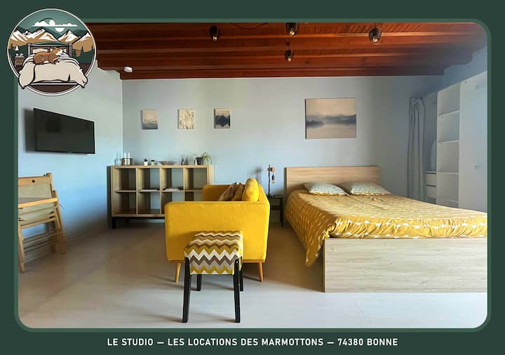 Le Studio Des Marmottons, Cœur De Village - Annemasse