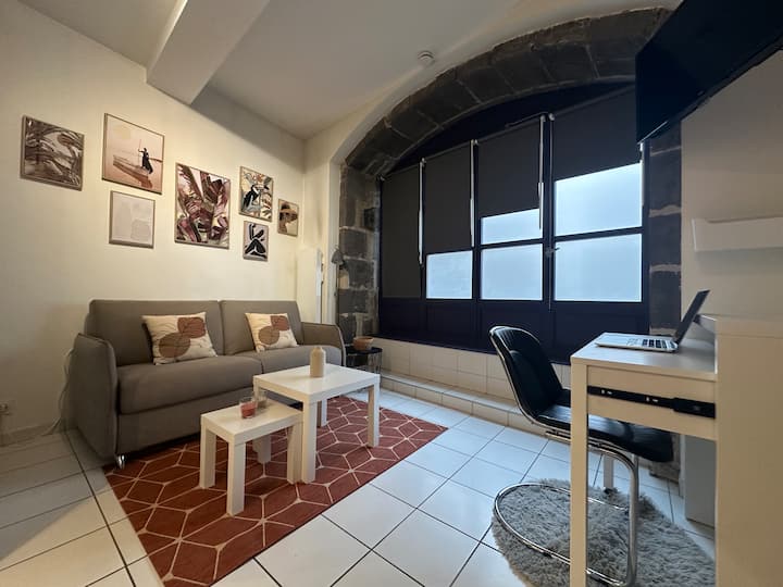 Atelier - Appart Avec Voûte Au Centre Historique - Université Clermont Auvergne