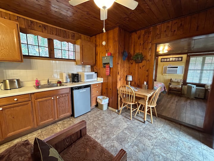 Camp Suite #11 ~ Free Lake Access & Paddle Gear - Hendersonville, NC