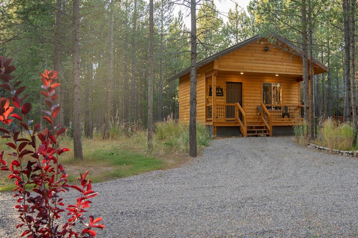 Mini Moose-28 Miles To Yellowstone-owner Managed - Island Park, ID