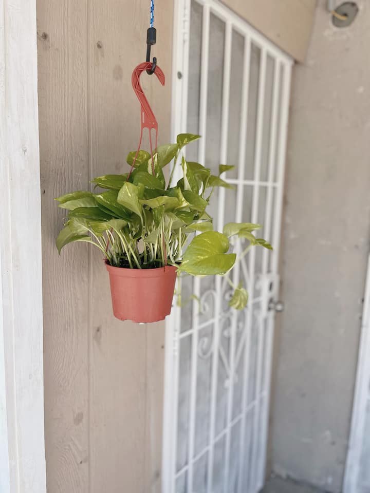 Private & Quiet  Unit B( 35%off ) - Alhambra, CA