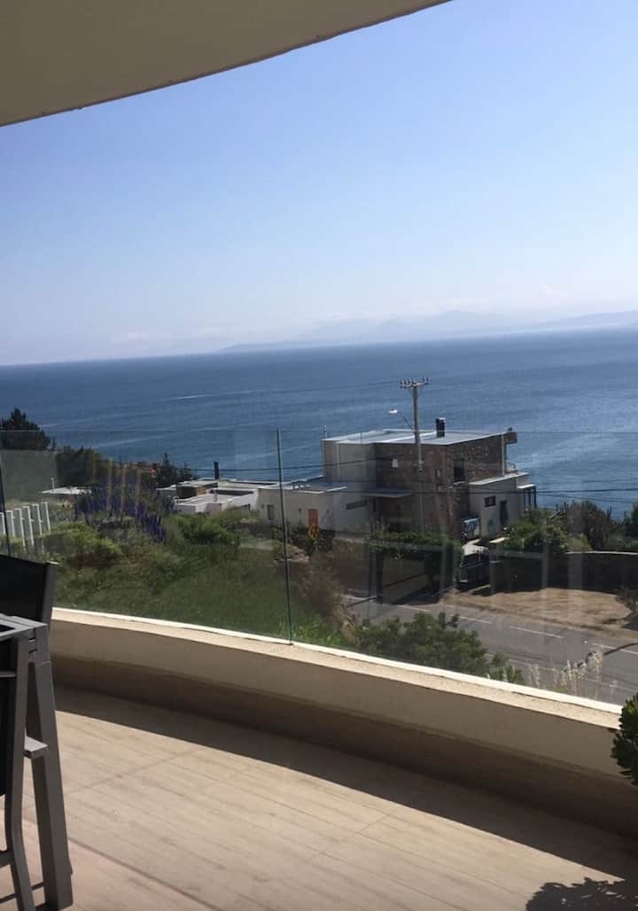 Magnifica Vista
Edificio Mirador Punta Pite - Papudo