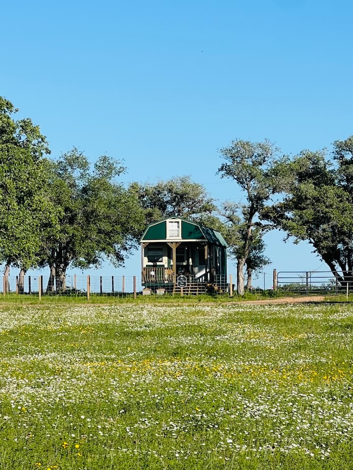 Das Grun Haus Tiny Home *On Ranch*-low Clean Fee - Texas