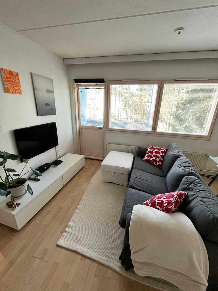 One King Size Bed Apartment With Breakfast - Espoo