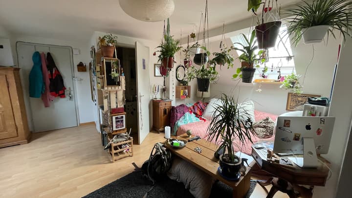 Home At Henry - St. Gallen, İsviçre