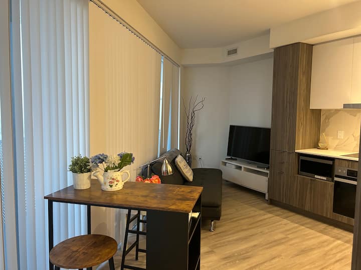 Luxury Condo W/lake & City View. - Toronto