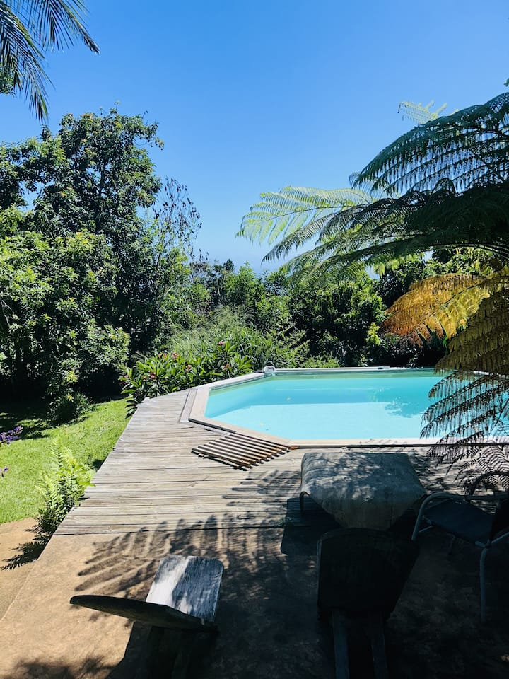 Maisonnette Cosy Dans Oasis Verdoyant. - Saint-Pierre