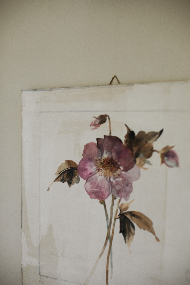 Neue Ferienwohnung Auf Der Sonnenalm - Bad Mitterndorf