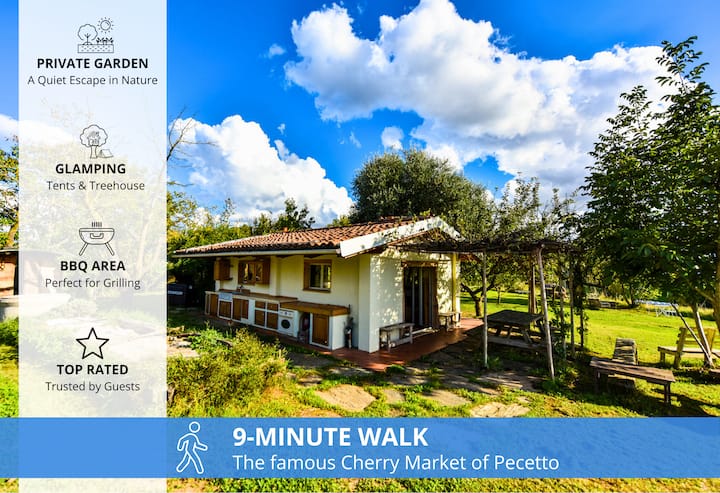 Colline Des Cerisiers – Détente Dans La Nature - Piedmont