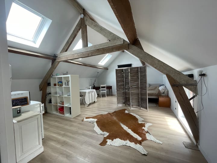 Studio Le Grenier à Foin &Jardinet (+Pré éQuestre) - La Hulpe