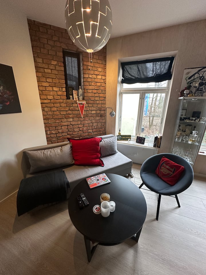 Koselig Leilighet I Gamlebyen - Oslo