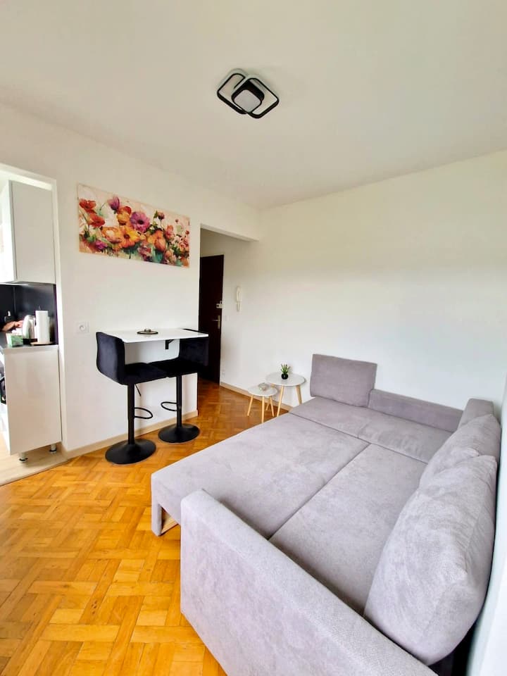 Appartement Moderne "3 Frontières" - Basel Airport - Canton de Jura