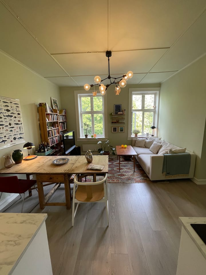 Ren Og Koselig Leilighet, Midt I Oslo - Oslo