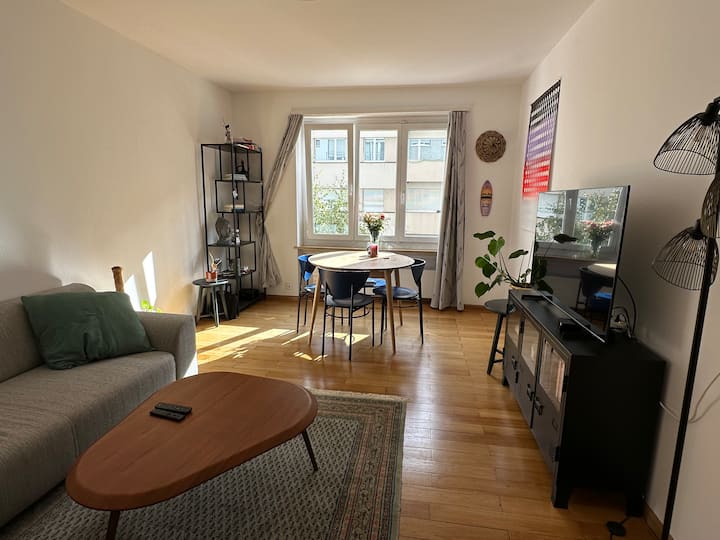 2 Zi-wohnung Nähe Stadtzentrum - Ibis Aéroport Bâle Mulhouse