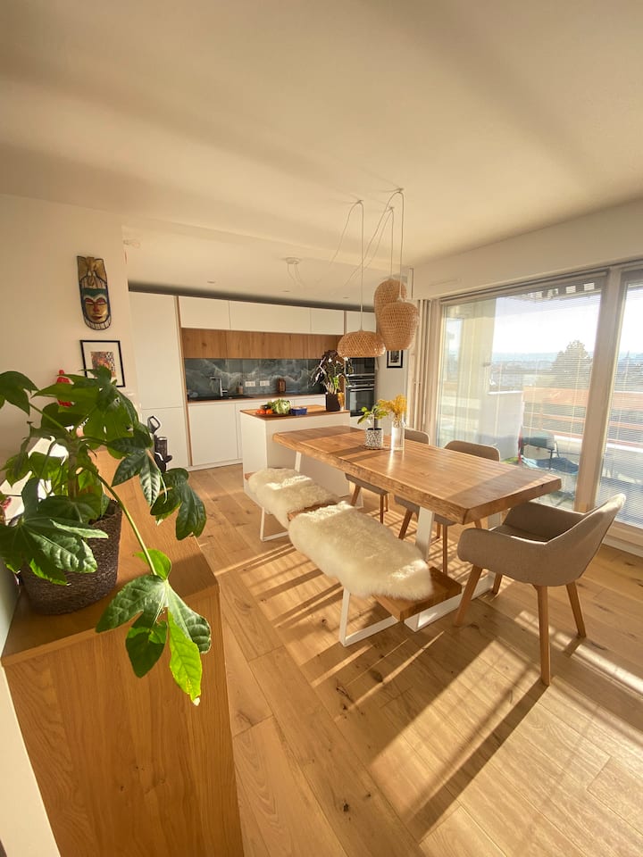 Duplex De 70 M2 Quartier Novel - Annecy-le-Vieux