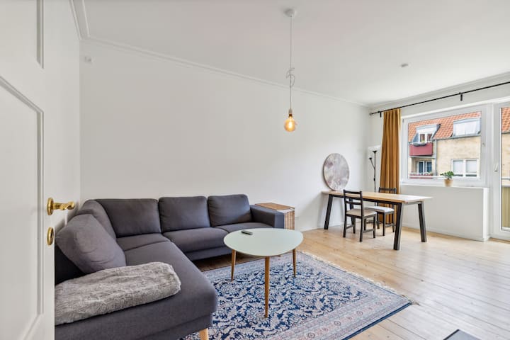 Spacious Apartment With Roommate - Copenhagen
