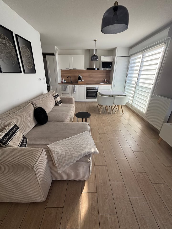 Appartement Proche Eurexpo, Groupama Stadium, Soie - Bron