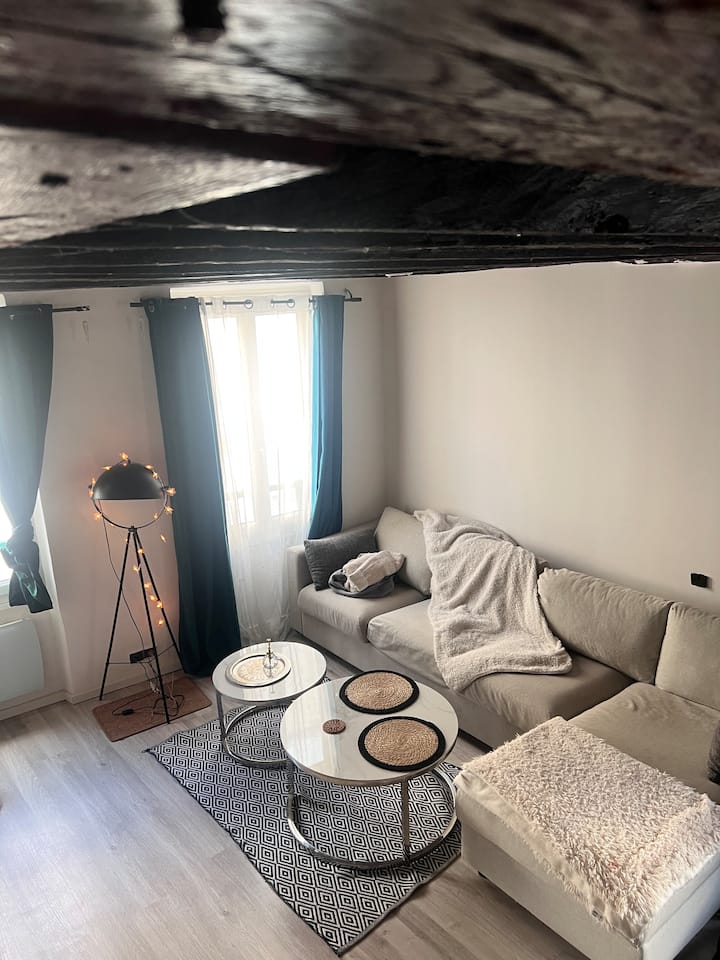 Maison De Ville Cosy éQuipée-melun Centre - Melun