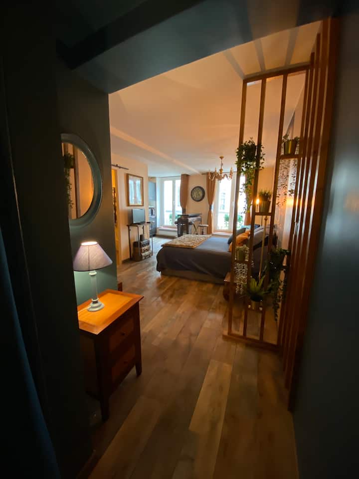 Suite 1890 Hypercentre Caen - 캉