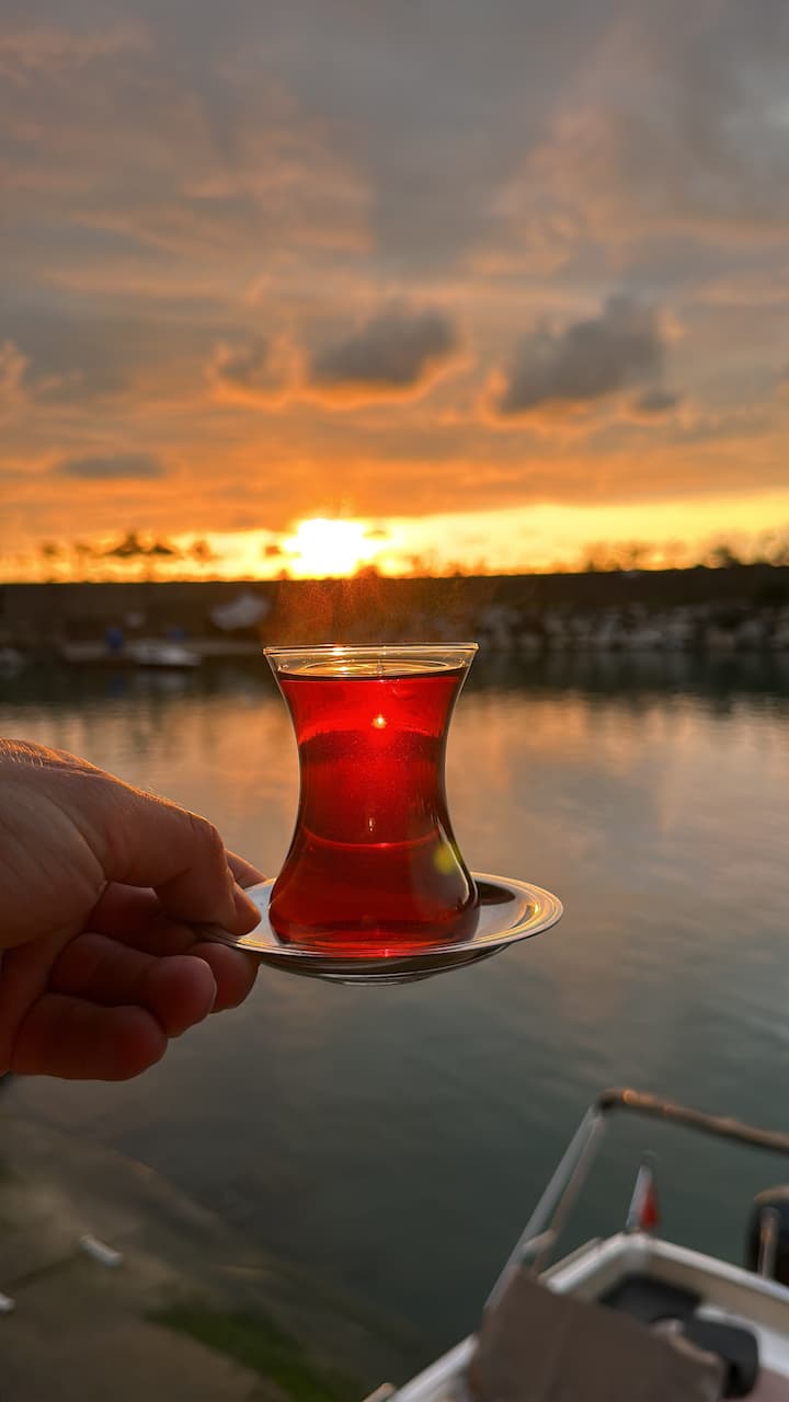 Detached House On The Beach. - Rize