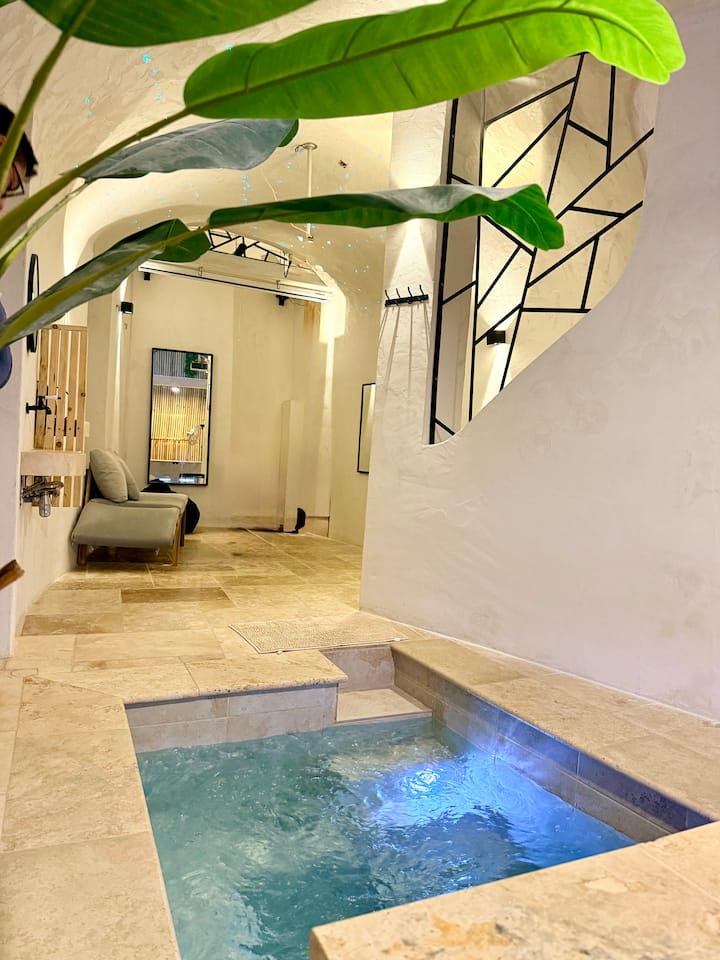 Appartement Avec Jacuzzi - Saint-Maximin-la-Sainte-Baume