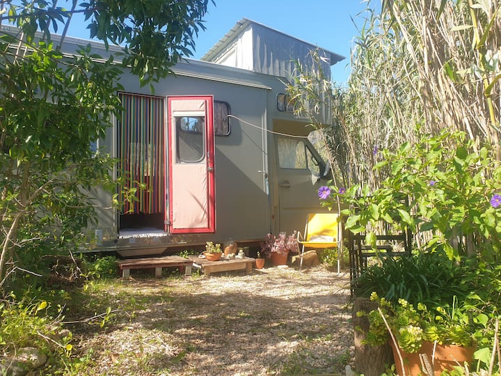 Tiny House Artsy - Sagres