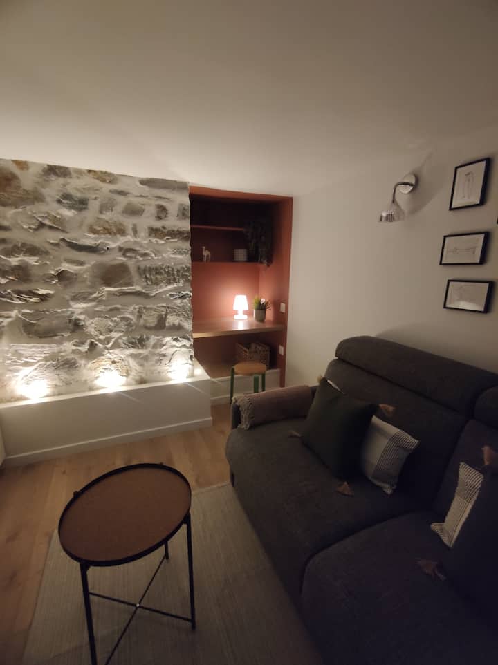 Studio Entier Indépendant Proche Chu/centre-ville - Rennes