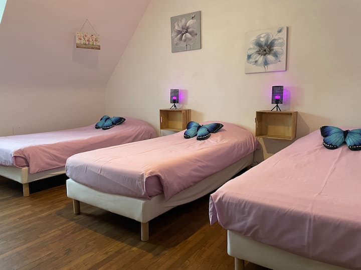 Chambre Camélia - Plougrescant