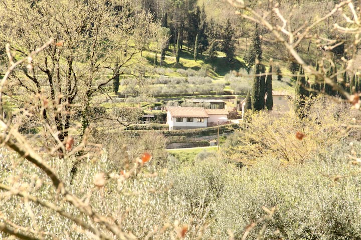 Podere Il Palatoio, Vivi La Vera Toscana - Toscana