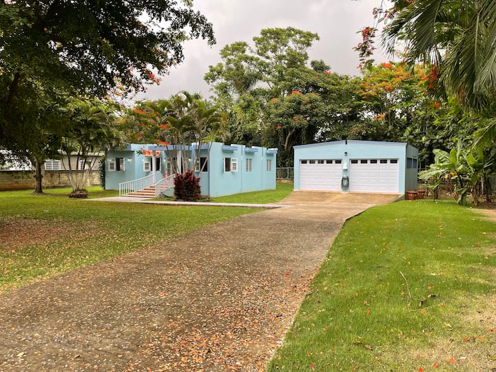 La Providencia - Vega Baja