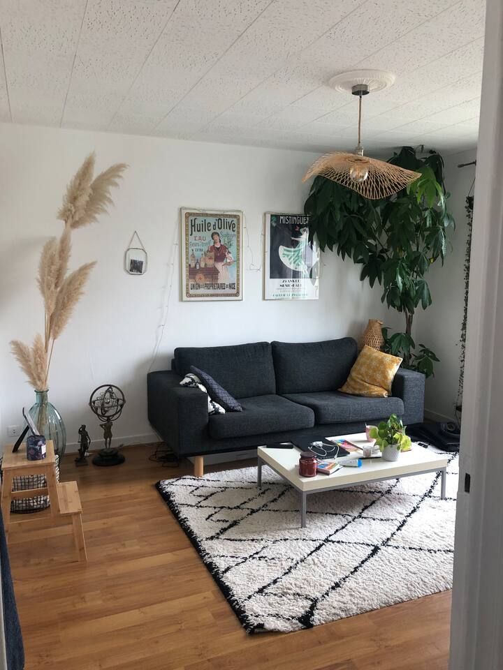 Appartement Brest 43 M2 - Brest