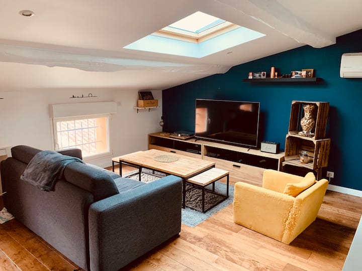 Grand T3 Calme Et Climatisé - Toulouse