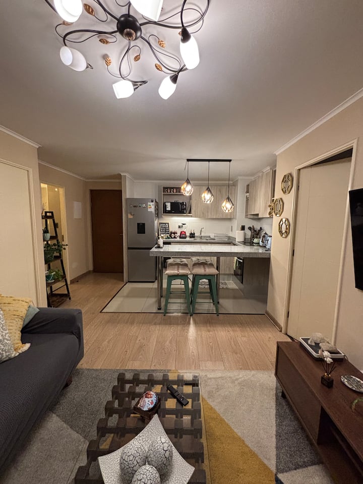 Hermoso Departamento Vip En El Centro De Temuco - Temuco