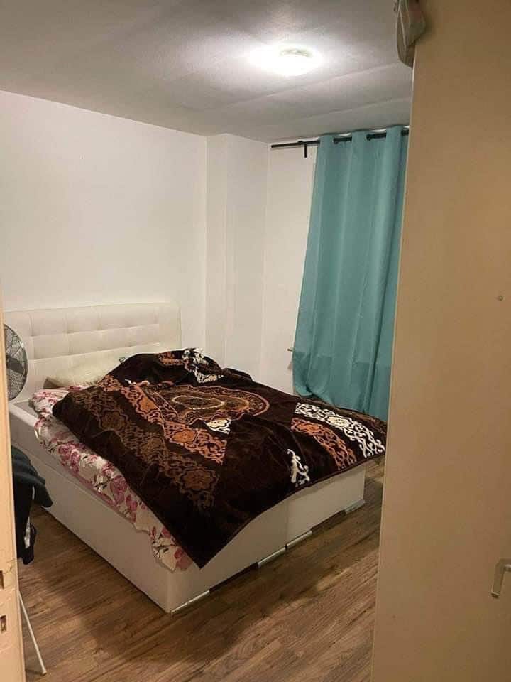 Palti - Bruselas, Bélgica