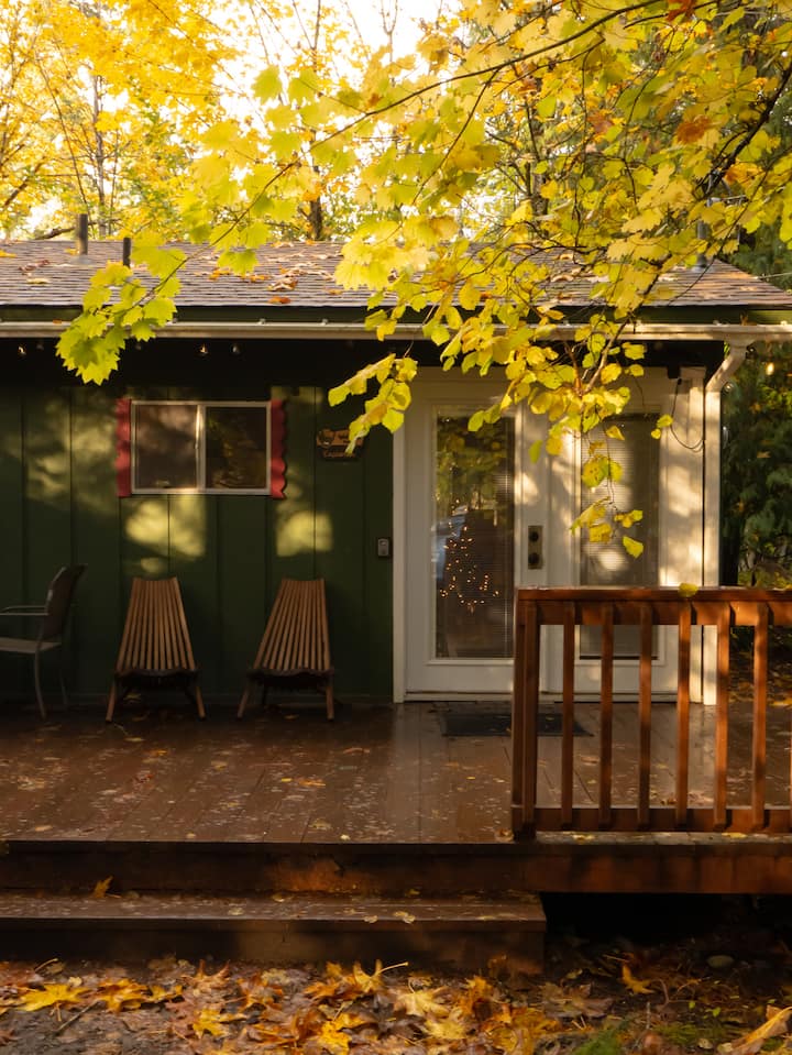 Rainier Explorer|mrnp|ski|hottub - Packwood, WA