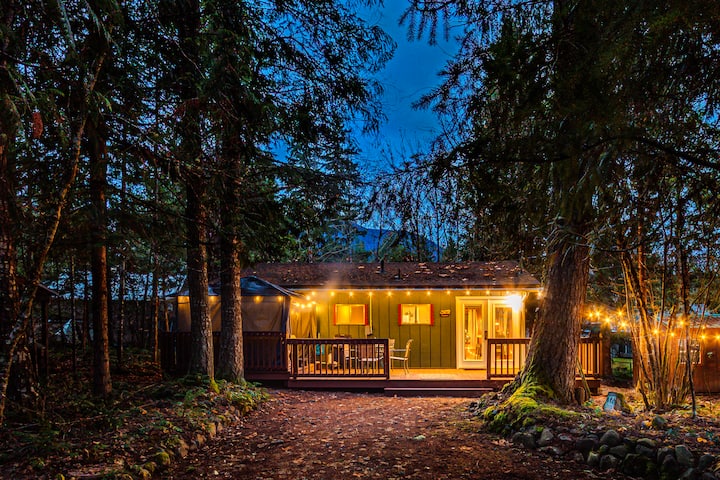 Rainier Explorer|mrnp|ski|hottub - Packwood, WA