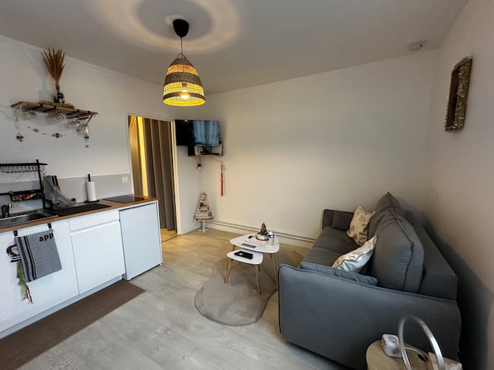 Studio Cosy-très Proche Gare-parking Gratuit - Orleans