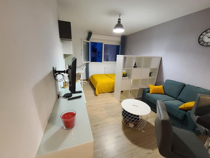 Magnifique Studio De 26 M². - Belfort