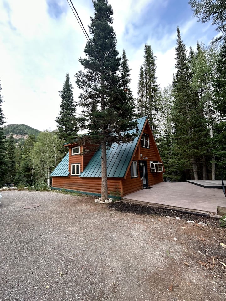 Solitude & Brighton Ski Cabin - 阿爾塔