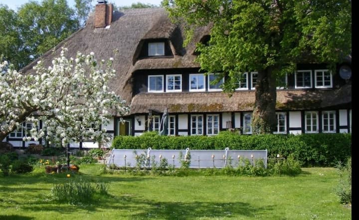 Ferienwohnung Dorsch Ahrenshoop - Ahrenshoop